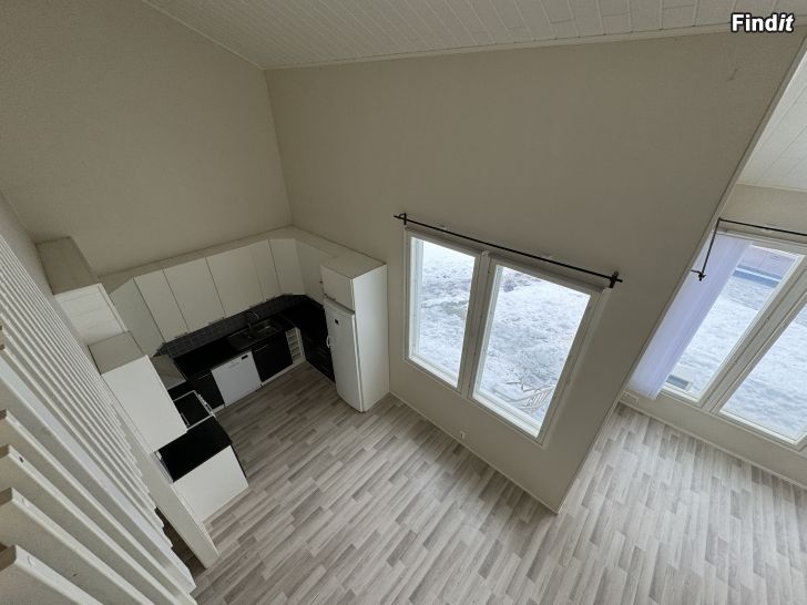 Vuokrataan Paritalo asunto Uusikaarlepyy