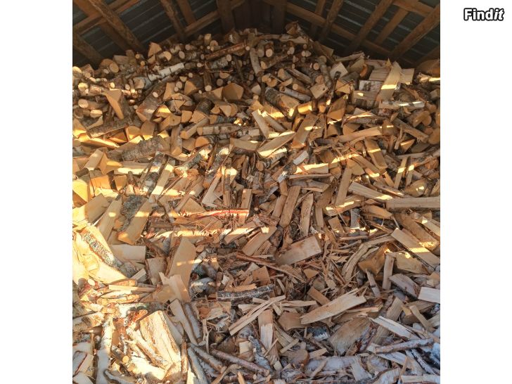 Myydään Koivu polttopuu