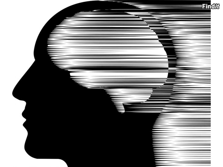 Myydään Cap-Dag 18.5 Succé,n fortsätter